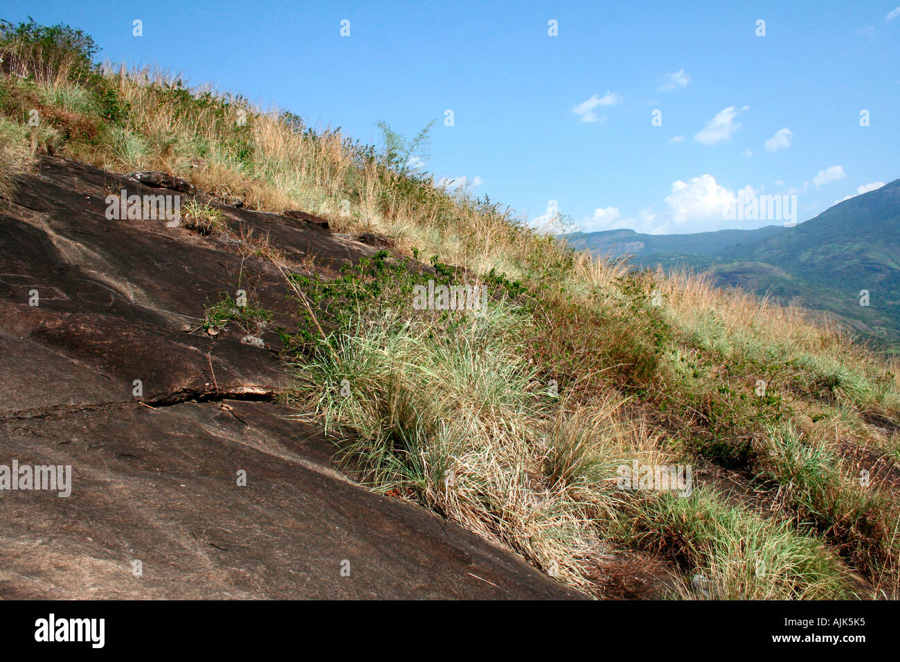 Grass slope hi-res stock photography and images - Alamy