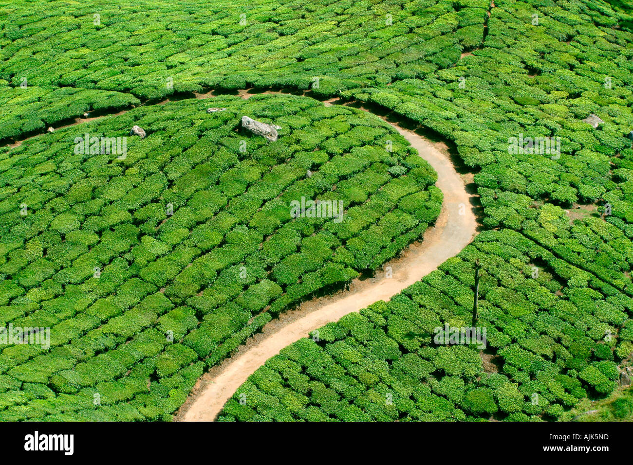 Aerial view munnar kerala hi-res stock photography and images - Alamy