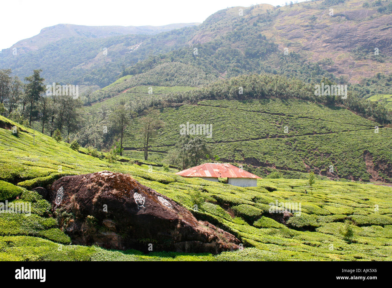 A black rock with man-made pictures drawn on it amidst the picturesque ...