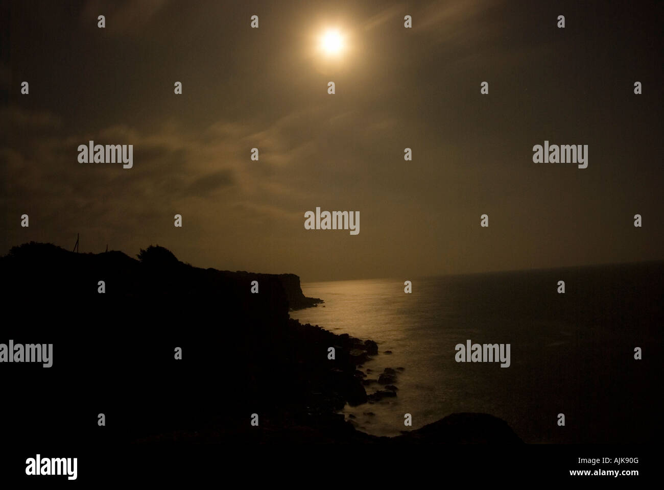 night landscape of a coastline in a full moon light on the sea Stock ...