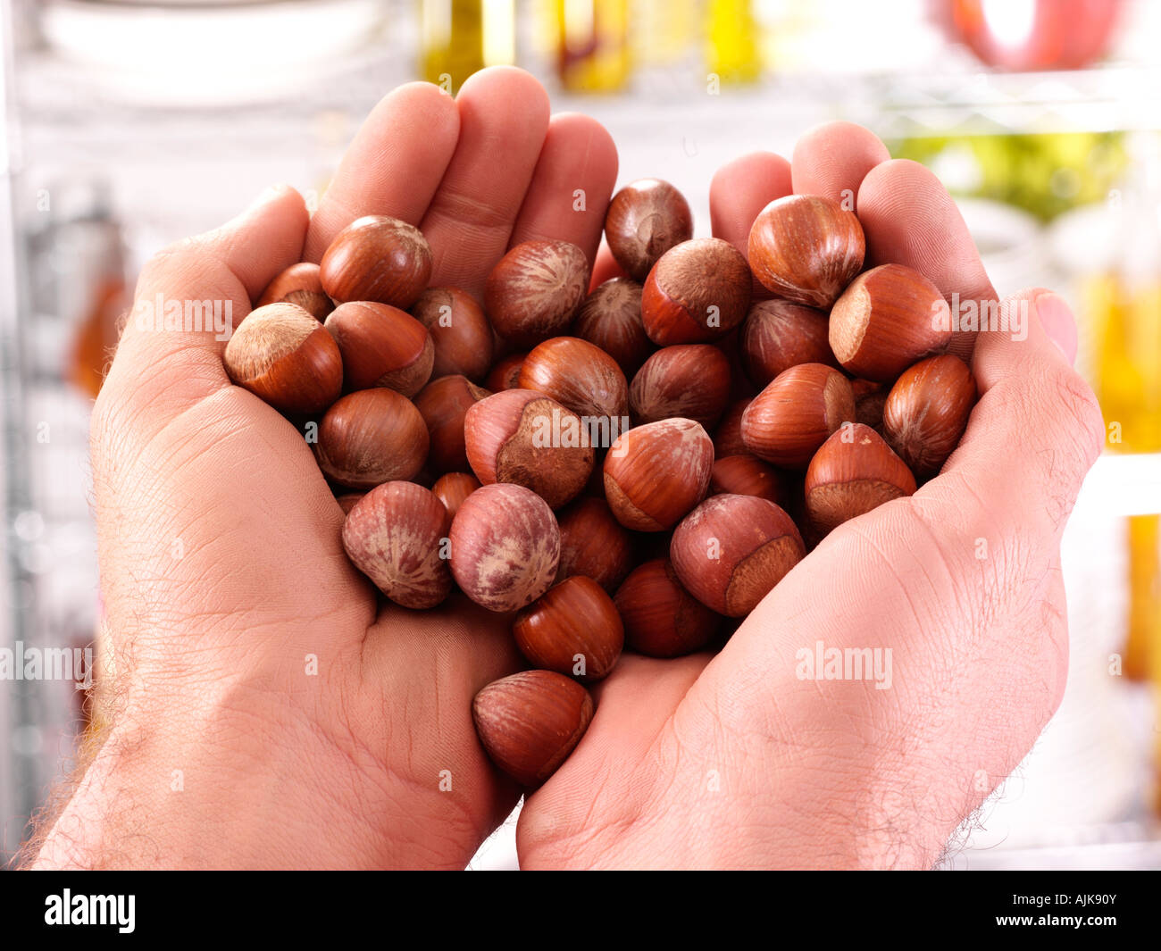 HANDS HOLDING HAZELNUTS Stock Photo - Alamy