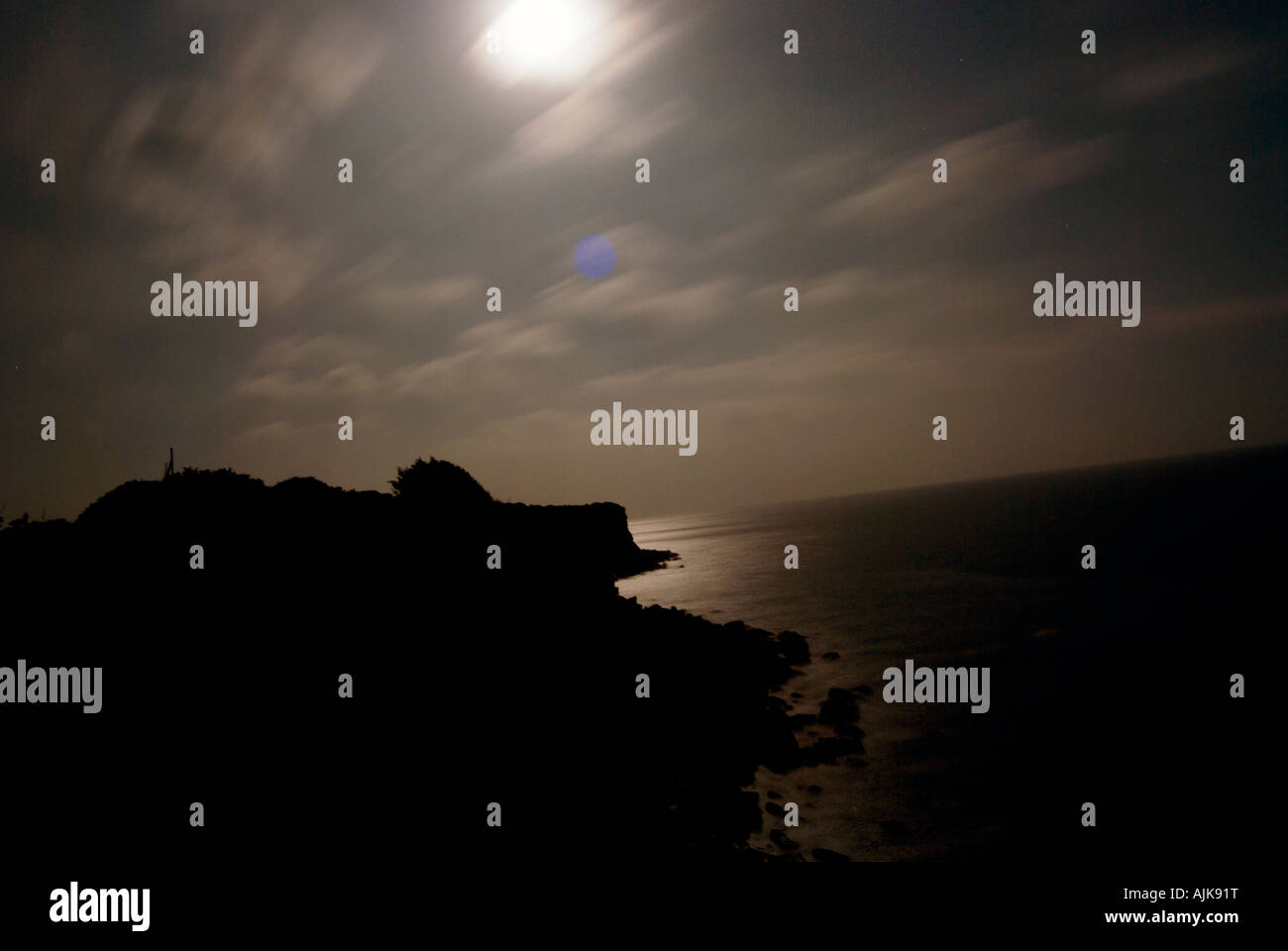 night landscape of a coastline in a full moon light on the sea Stock ...