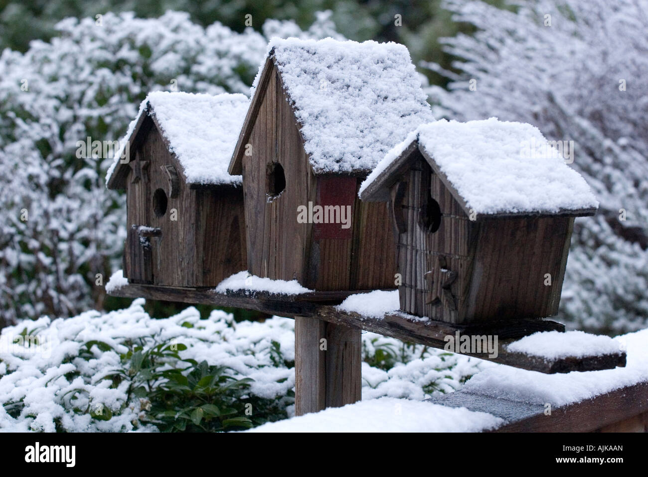 Three birdhouses hi-res stock photography and images - Alamy