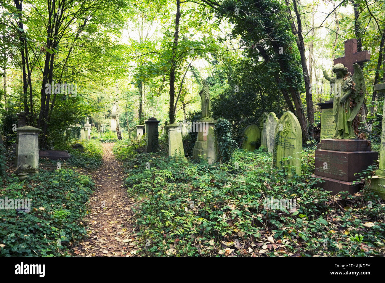 Abney Park Cemetery in Stoke Newington London England Stock Photo - Alamy