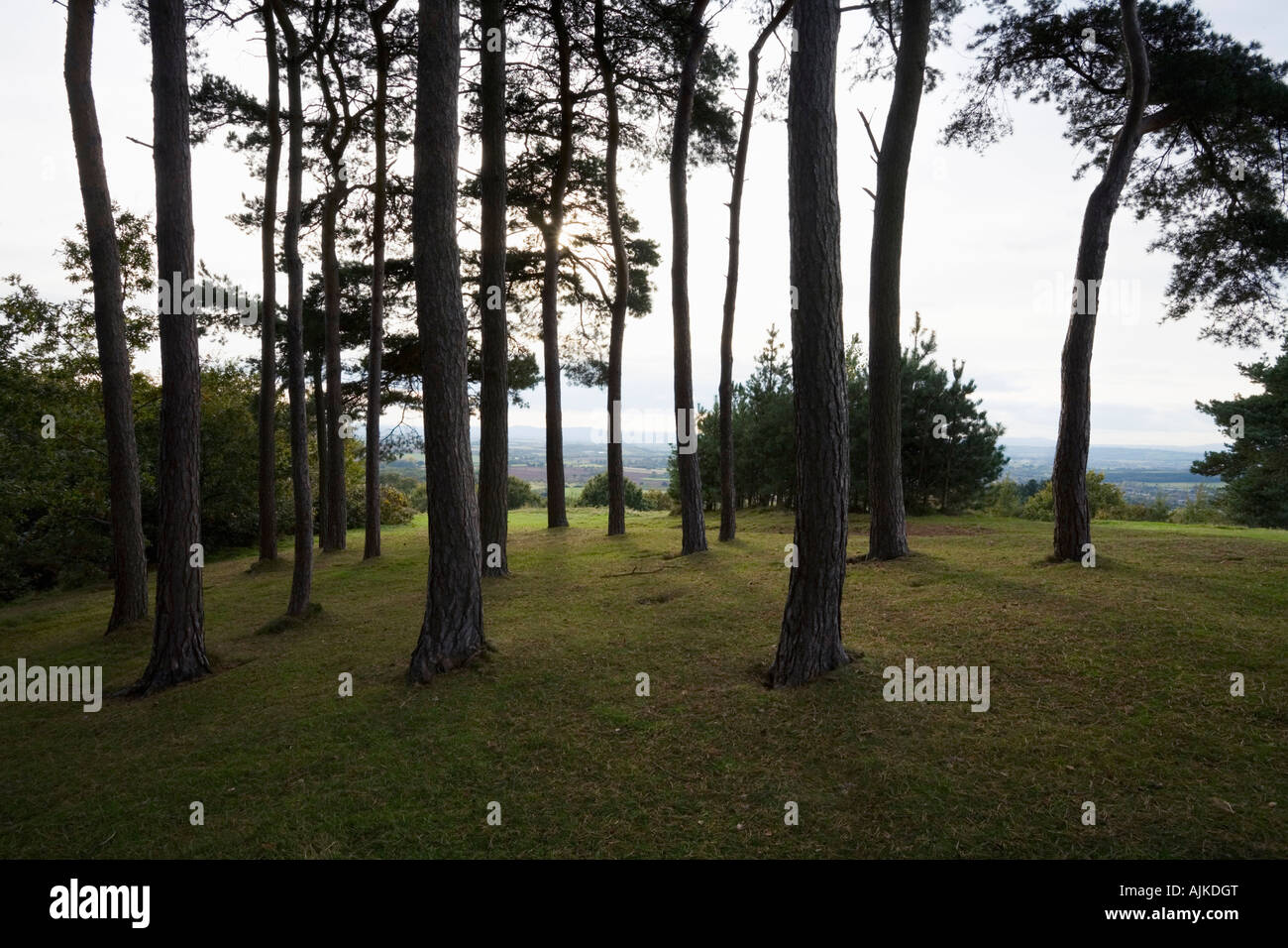Clent hills birmingham hi-res stock photography and images - Alamy