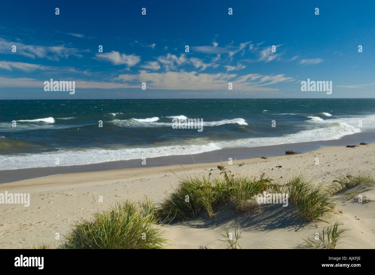 cape cod beach Stock Photo - Alamy