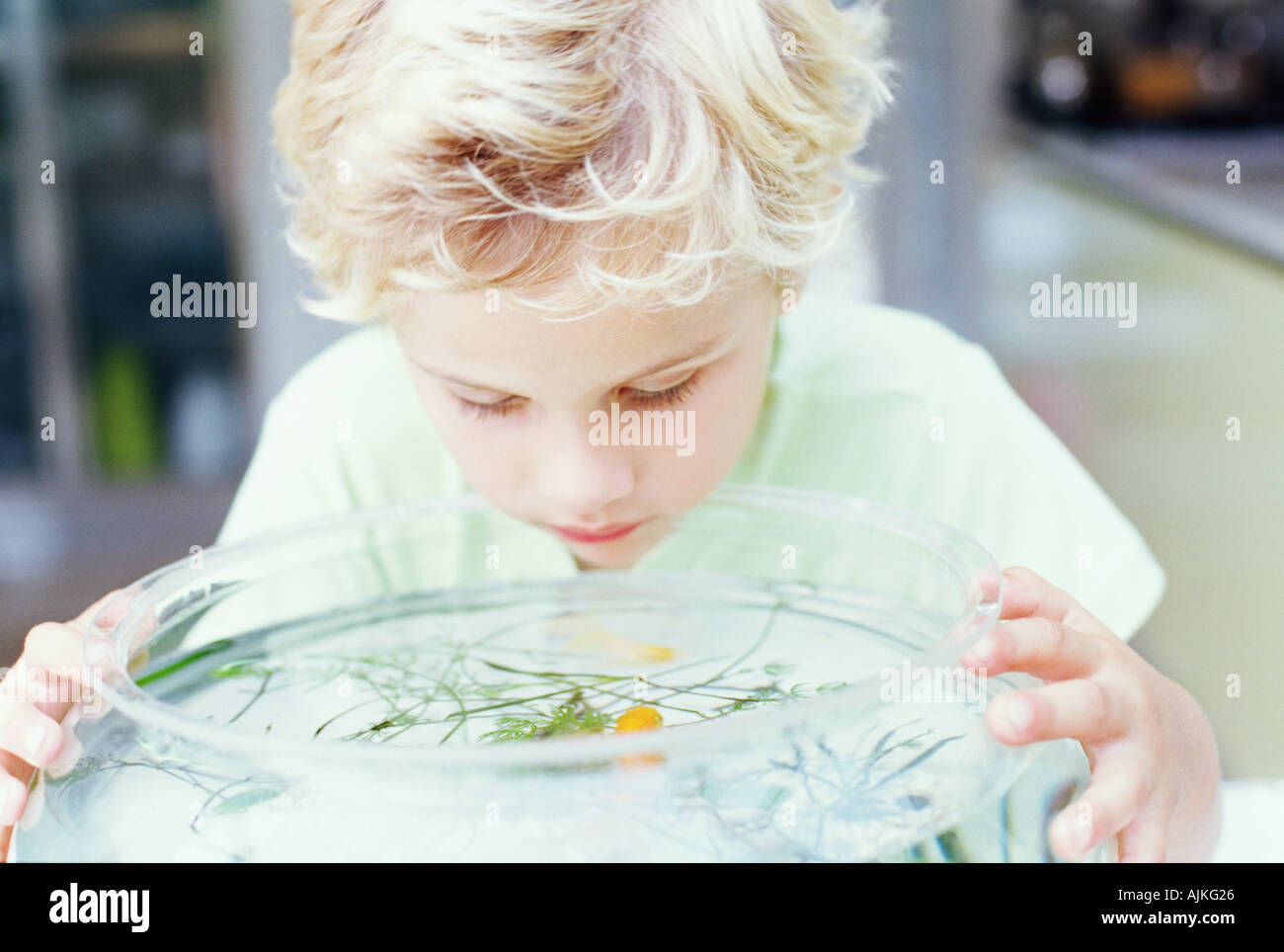 Boy looking into fish bowl Stock Photo - Alamy