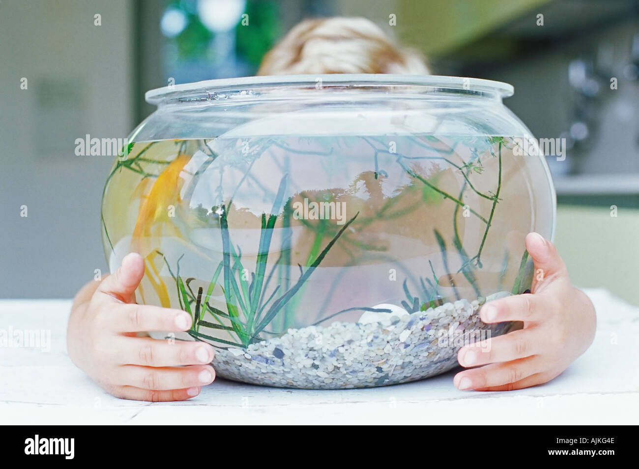 Boy holding goldfish bowl Stock Photo - Alamy