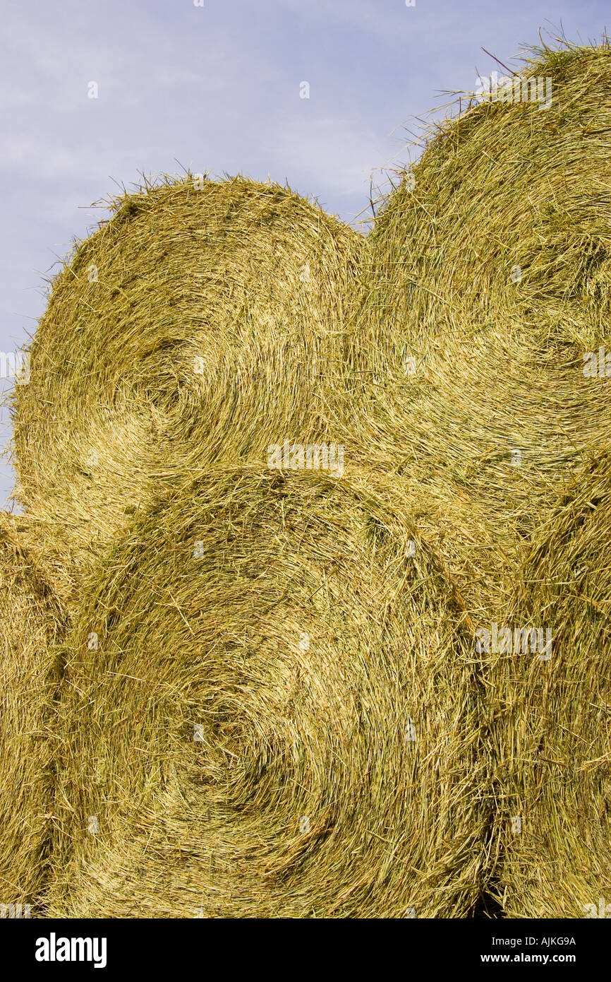 Hay bales vertical Stock Photo - Alamy