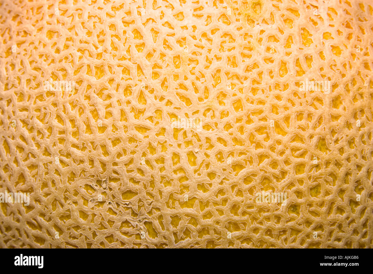 cantalope melon skin Stock Photo - Alamy