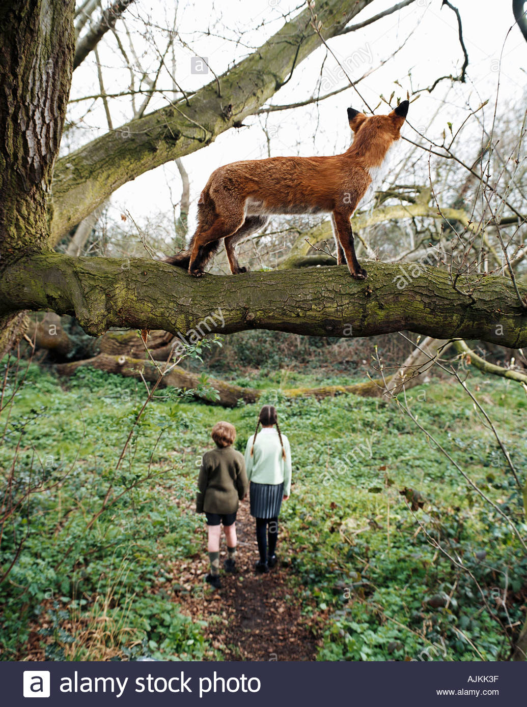 Century Fox Stock Photos & Century Fox Stock Images - Alamy