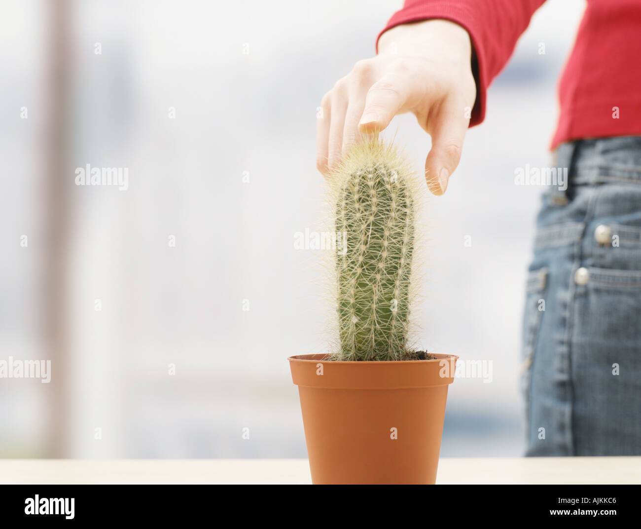 Woman touching a cactus Stock Photo - Alamy