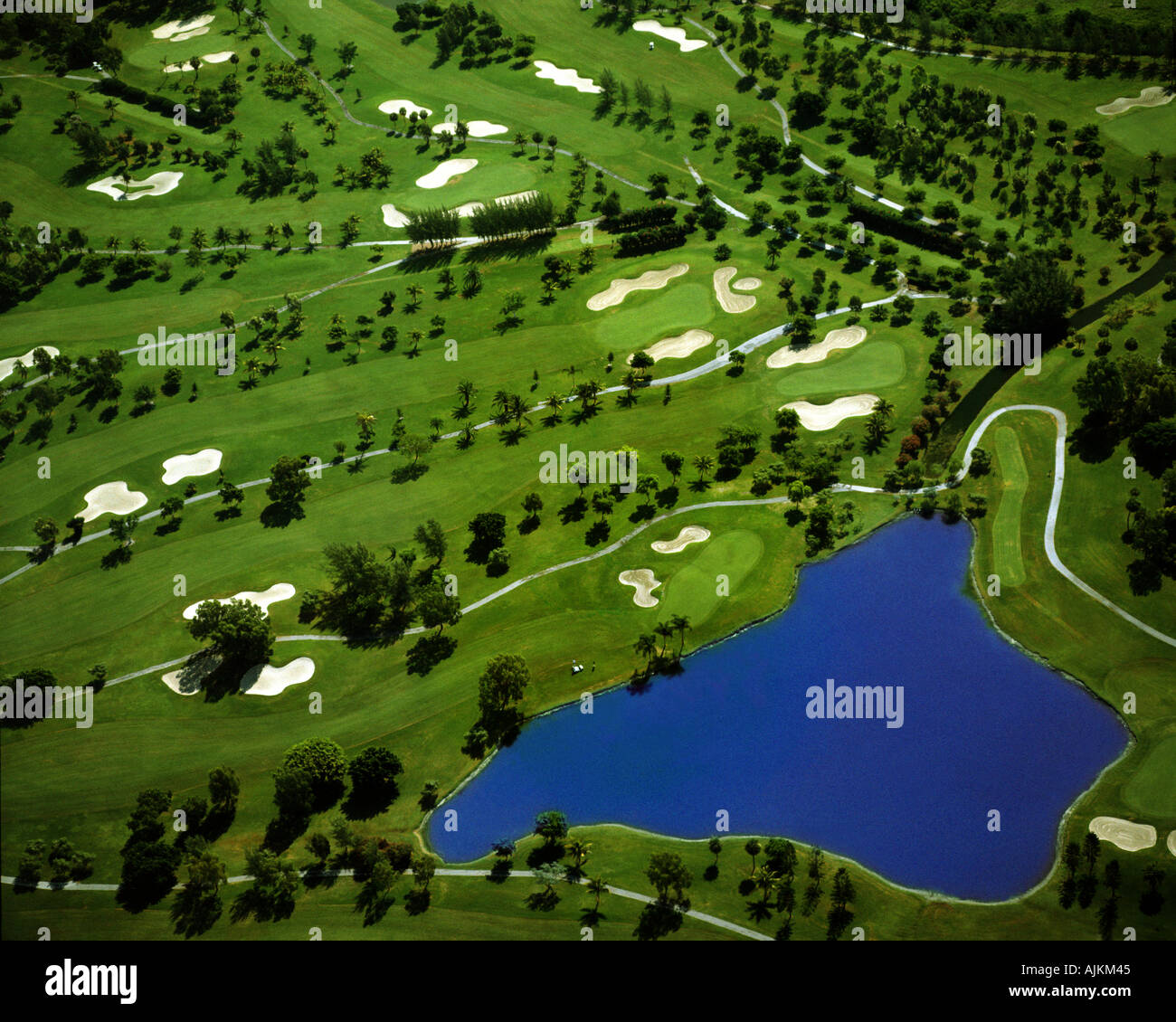 Florida birds golf course hi-res stock photography and images - Alamy