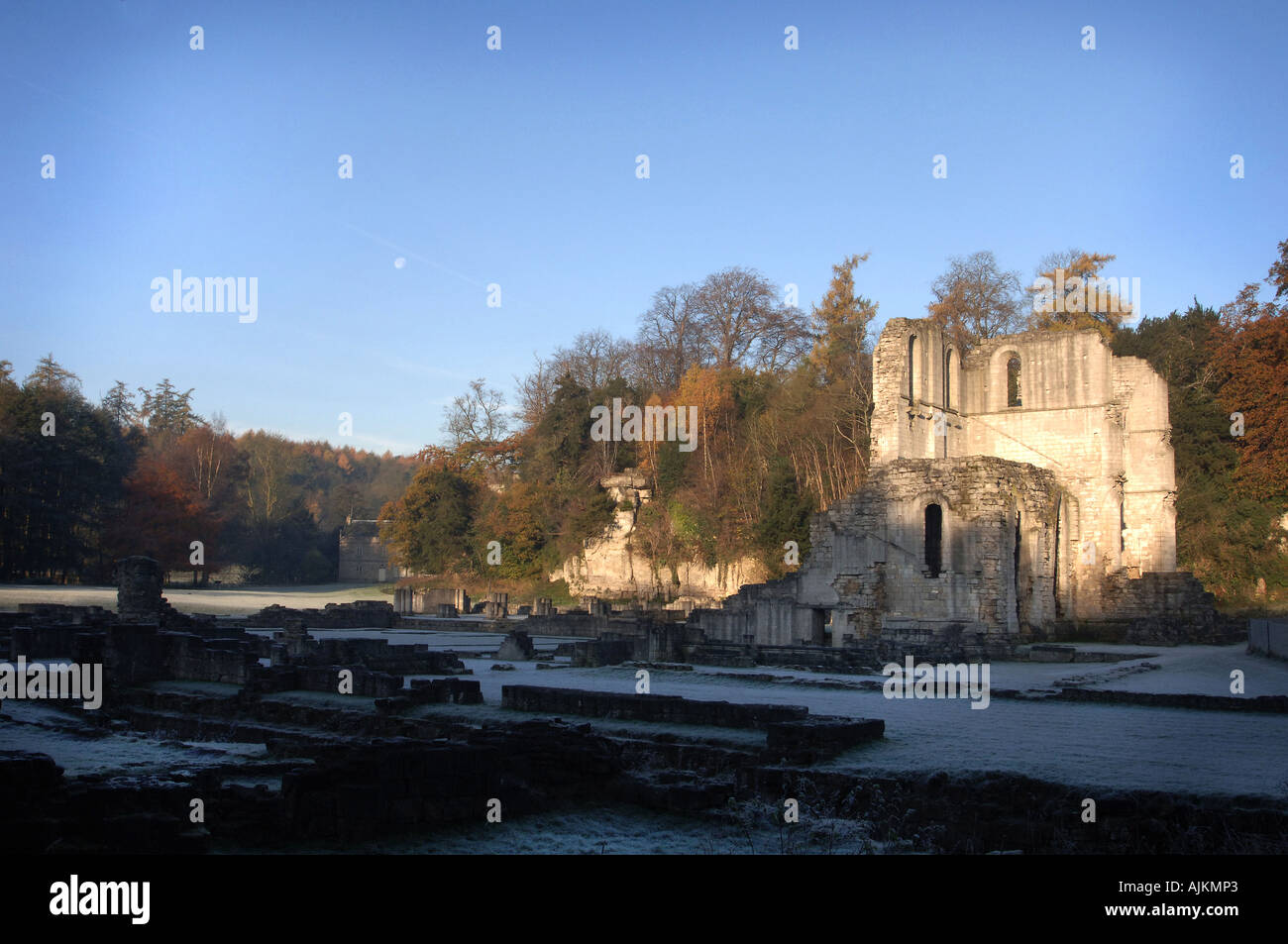 Roche abbey rotherham hi-res stock photography and images - Alamy
