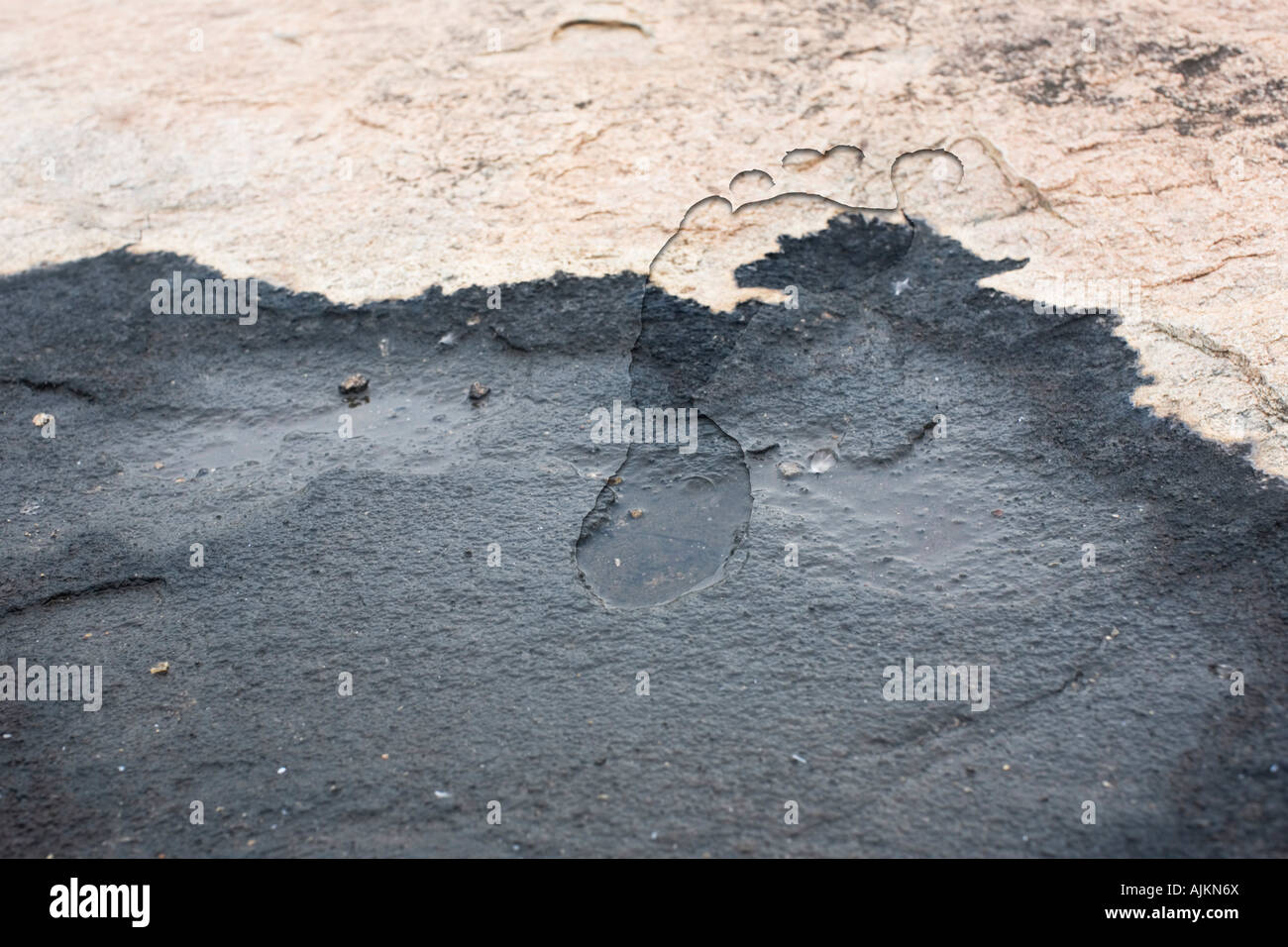 Superimposed footprint into rock to represent carbon footprint Stock ...