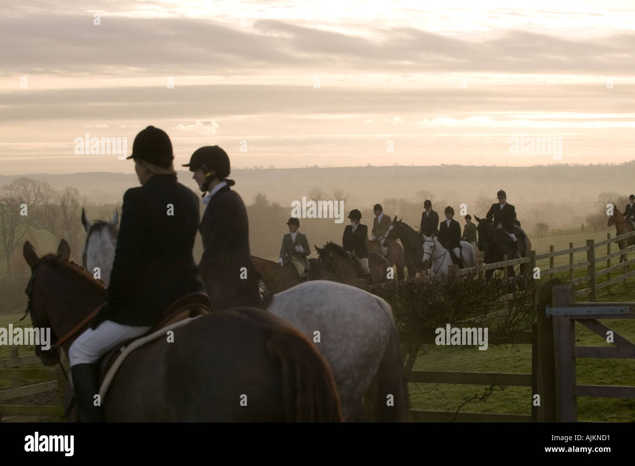 Hunting with dogs early morning England UK Stock Photo - Alamy