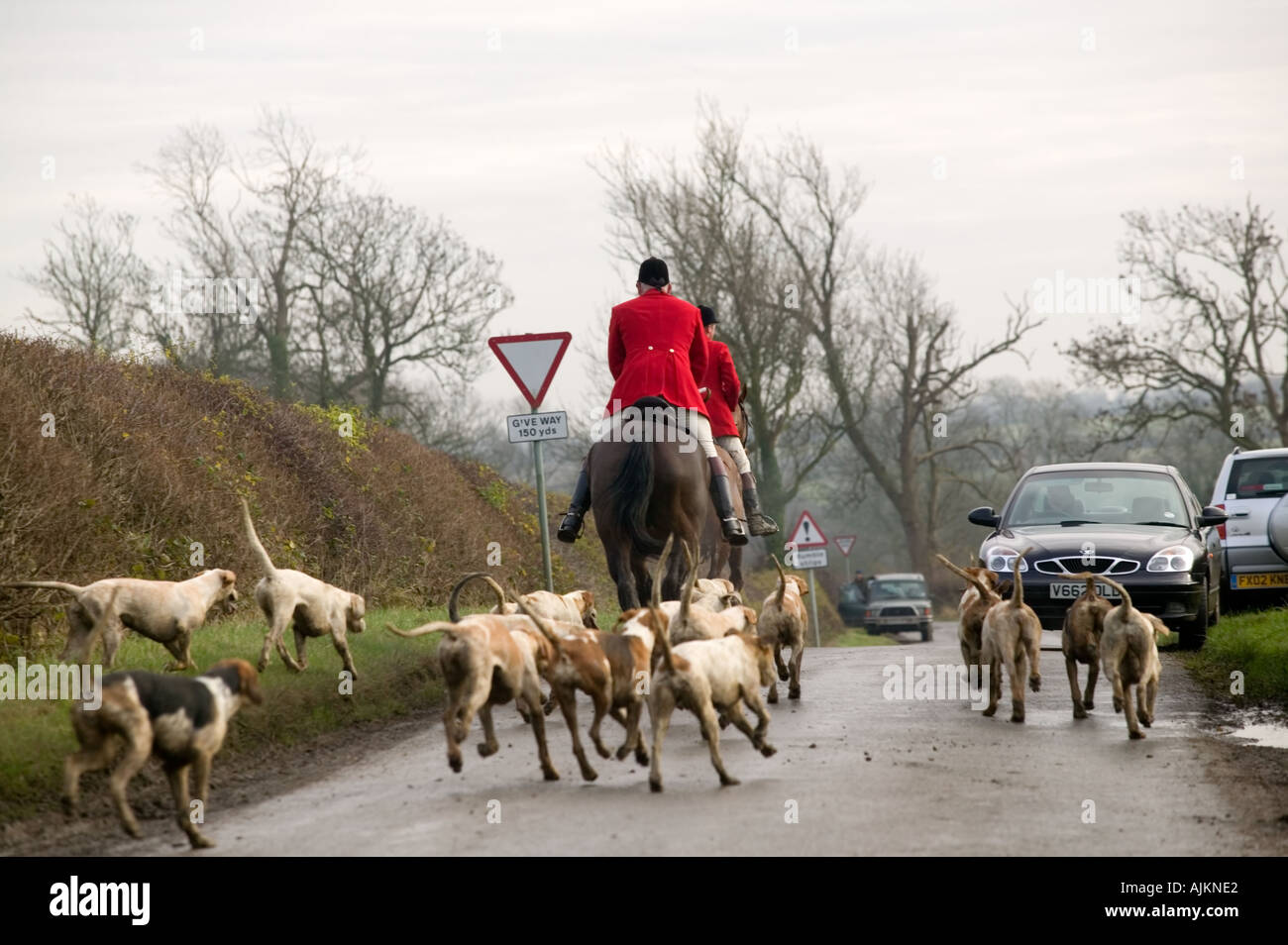 Hunting with dogs Hunts men with hounds while out hunting Stock Photo ...