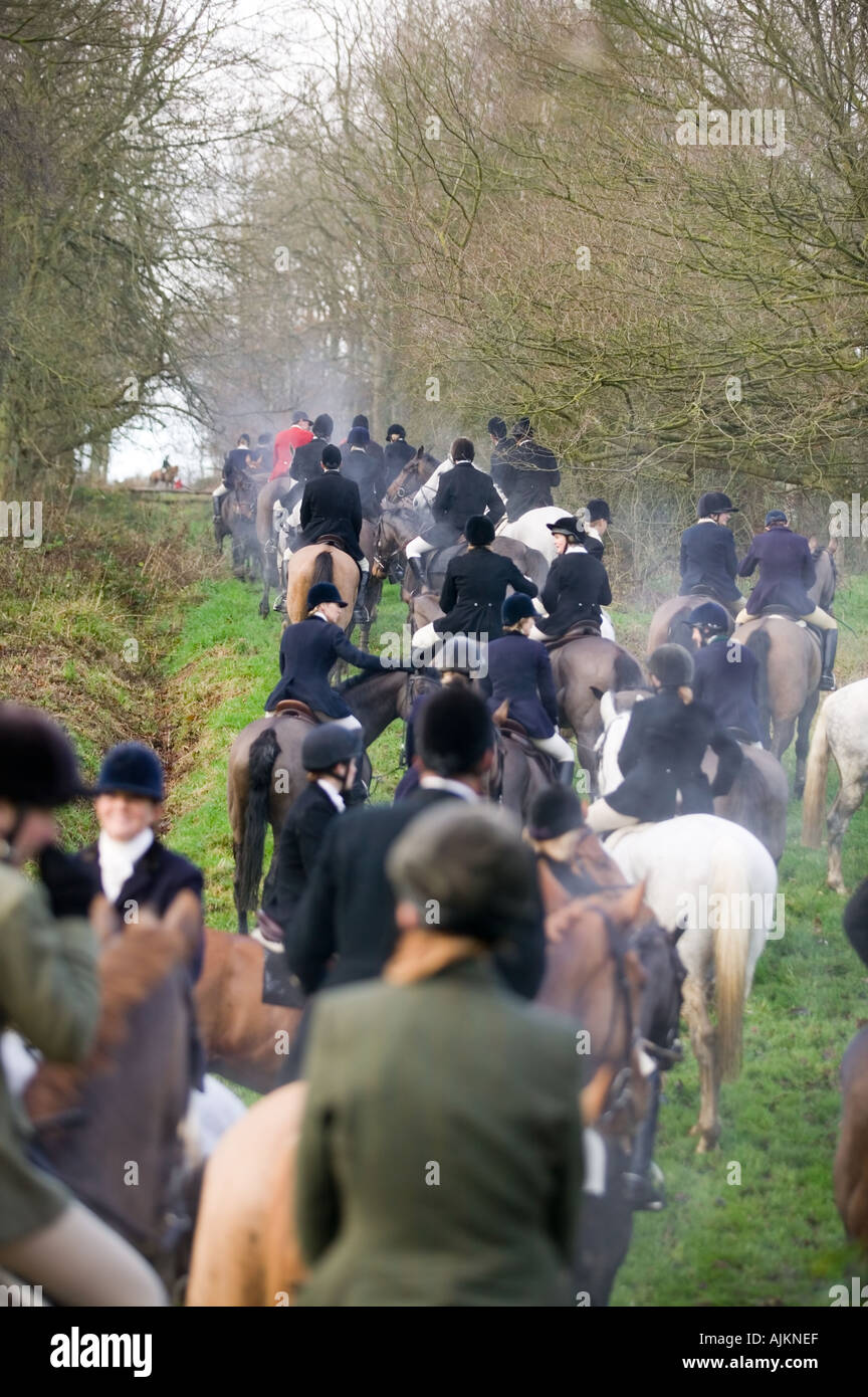 Foxhunting england hi-res stock photography and images - Alamy