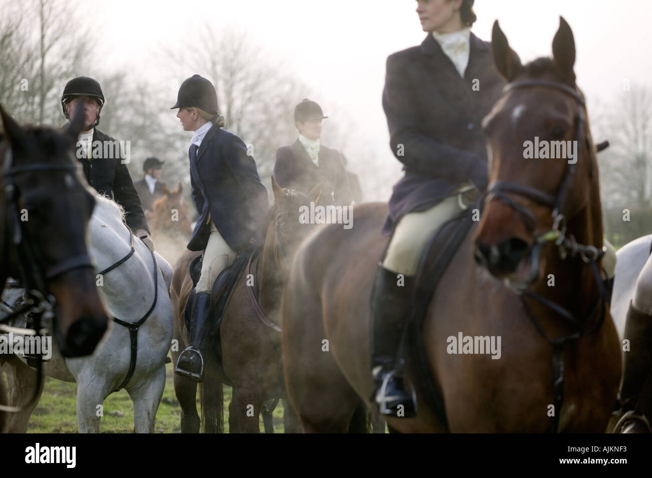Fox Hunts High Resolution Stock Photography and Images - Alamy