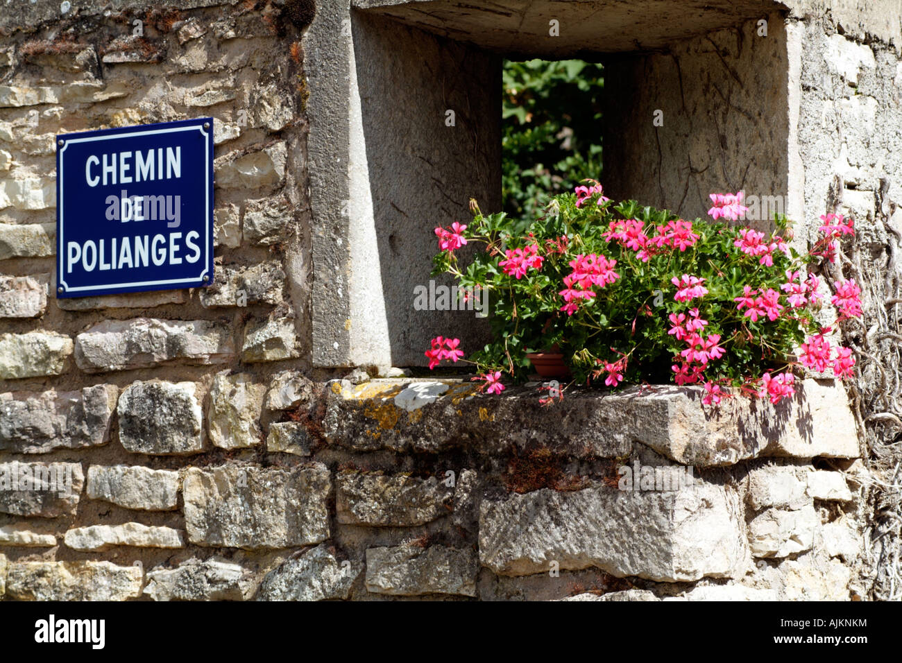 Geranium Flowers on a French Roadside Wall Burgundy Region of France ...