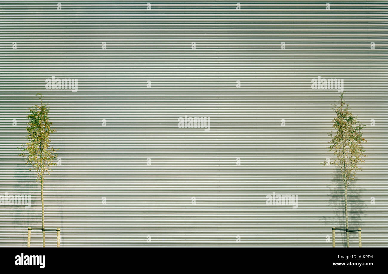 Shutter and two trees Stock Photo - Alamy