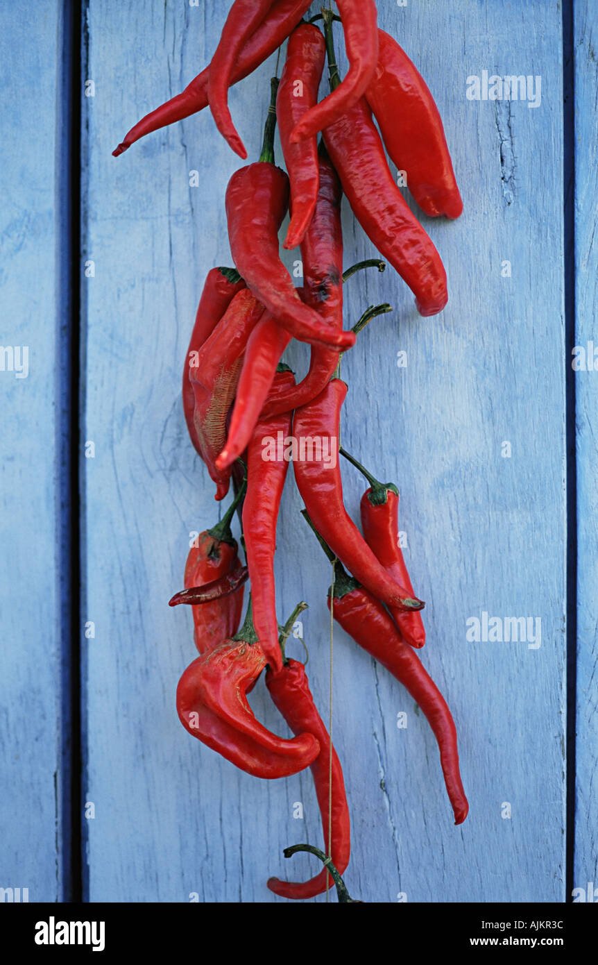 Red peppers drying Stock Photo - Alamy