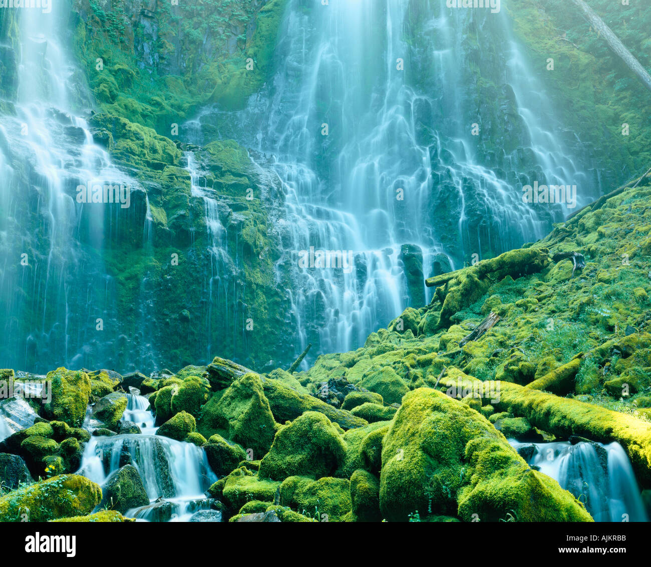 Proxy Falls in Willamette National Forest of Oregon USA Stock Photo - Alamy