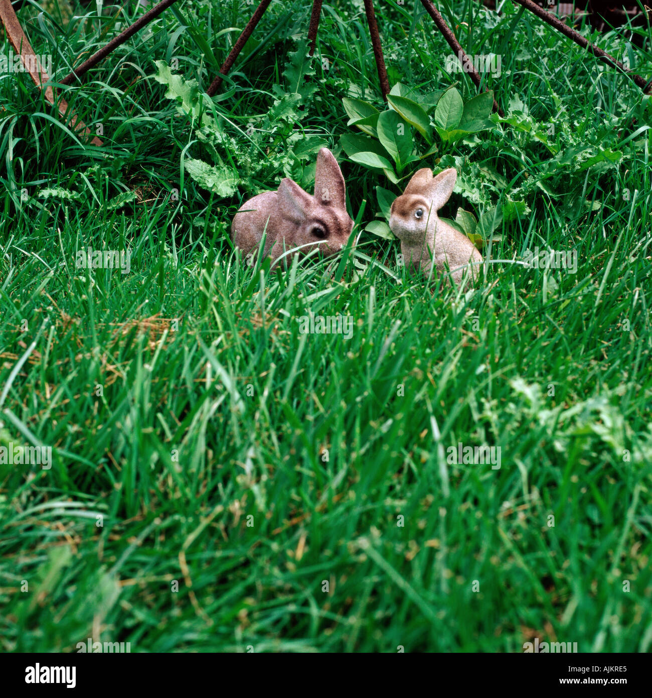 Group rabbits garden hi-res stock photography and images - Alamy