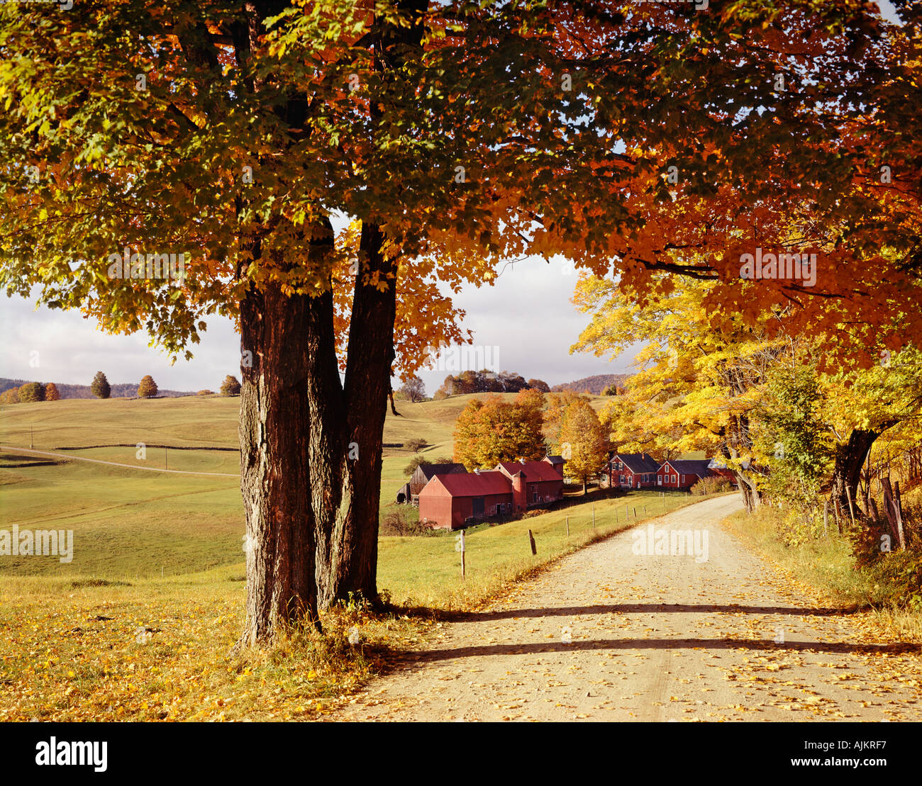 Jenne Farm near Reading Vermont USA Fall foliage season Stock Photo - Alamy