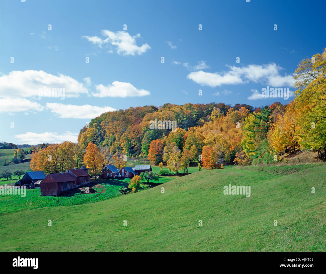 Jenne Farm near Reading Vermont USA during fall foliage season Stock ...