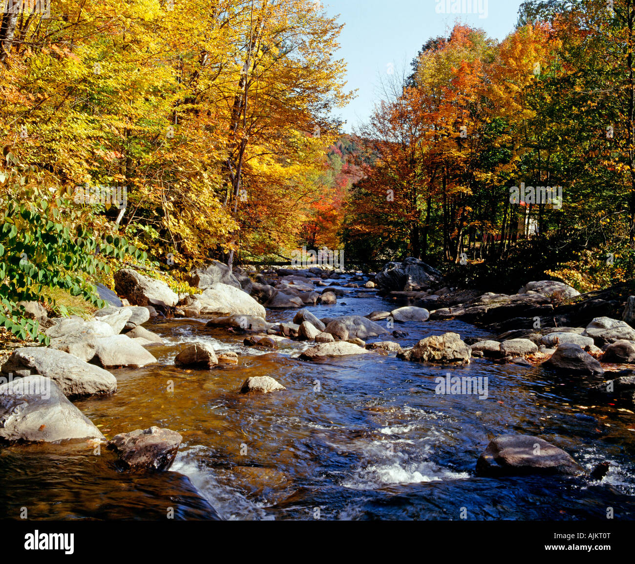 Trees lining riverbanks riverbanks hi-res stock photography and images ...