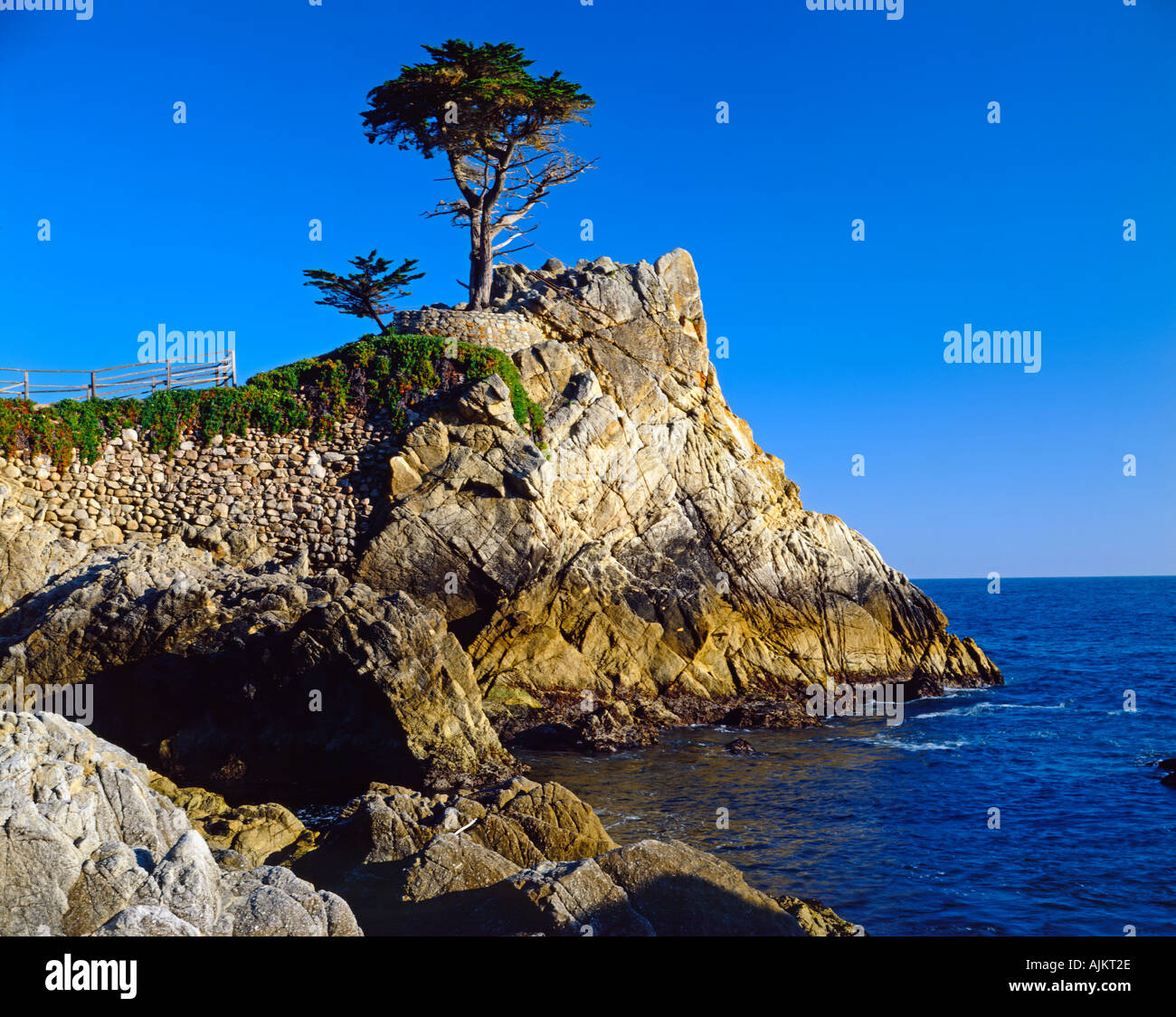 Lone Cypress tree on 17 mile drive near Carmel California USA Stock ...