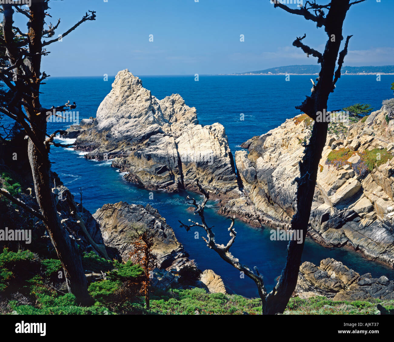 Point Lobos State Park on Monterey Peninsula in California USA Stock ...