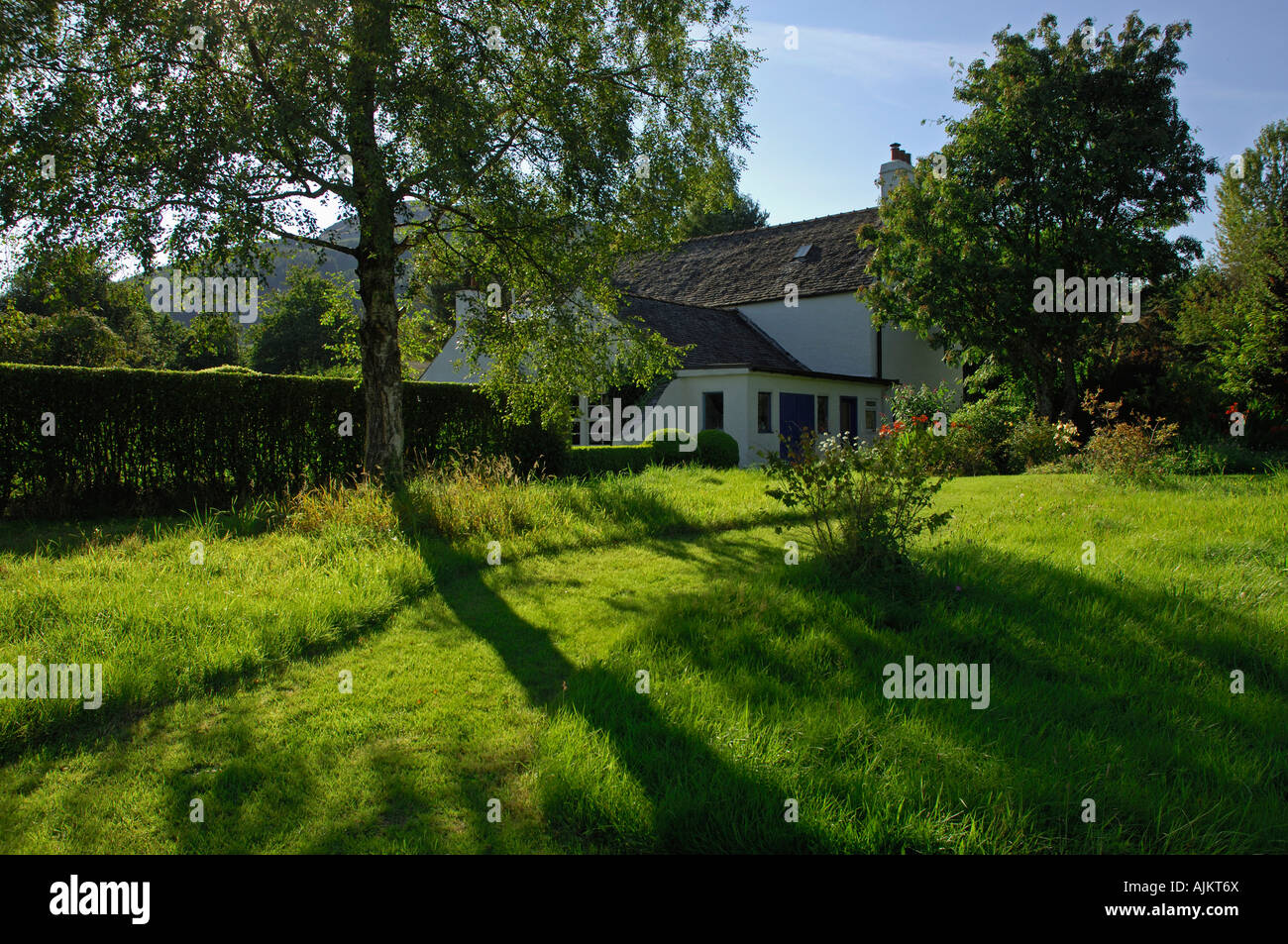 High summer in a Scottish garden with lush green grass borders beneath ...