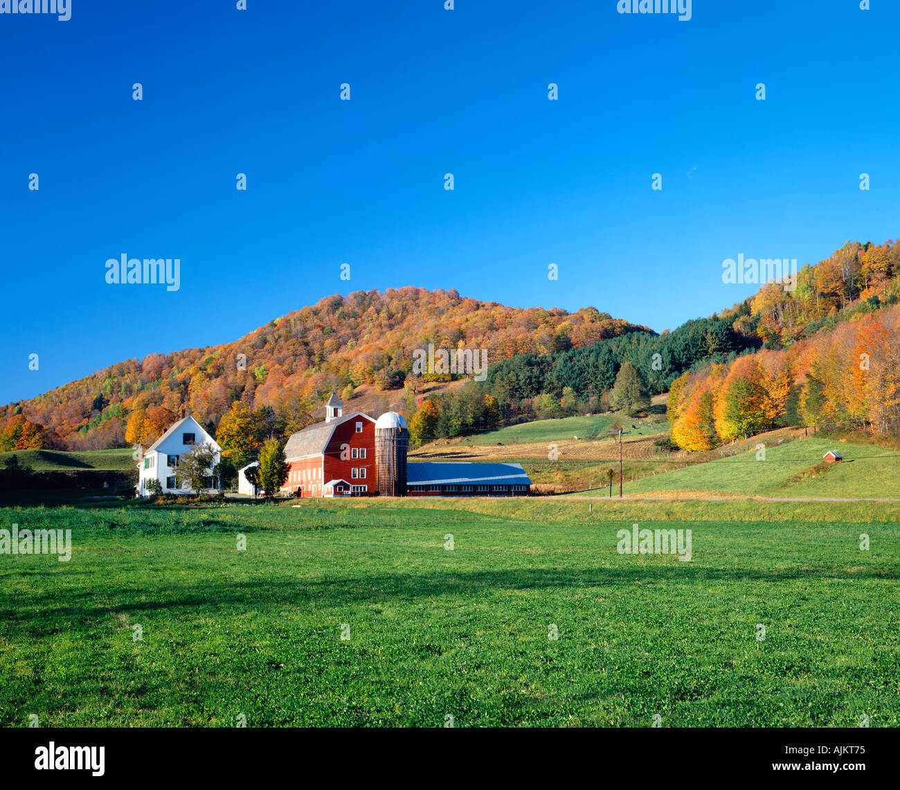 Barnard Farm High Resolution Stock Photography and Images - Alamy