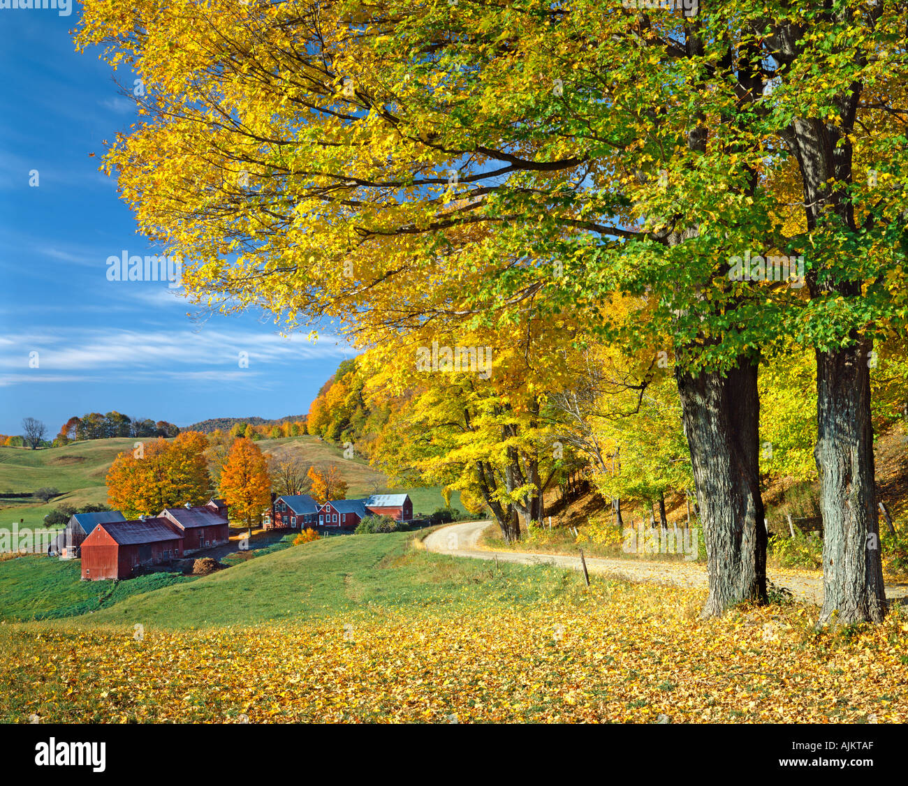 Jenne farm reading vermont usa hi-res stock photography and images - Alamy