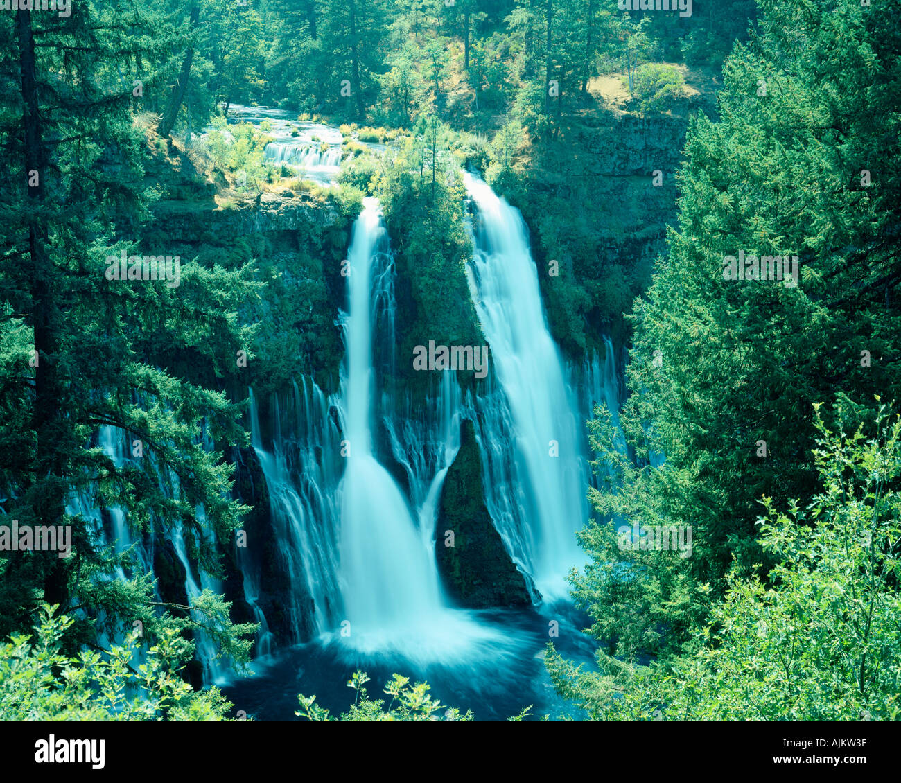 Burney falls forest waterfalls in hi-res stock photography and images ...