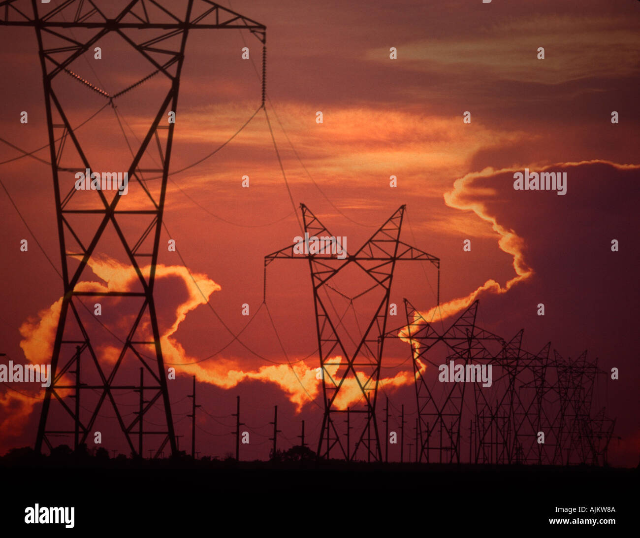 high voltage transmission power lines in Florida USA at sunset Stock ...