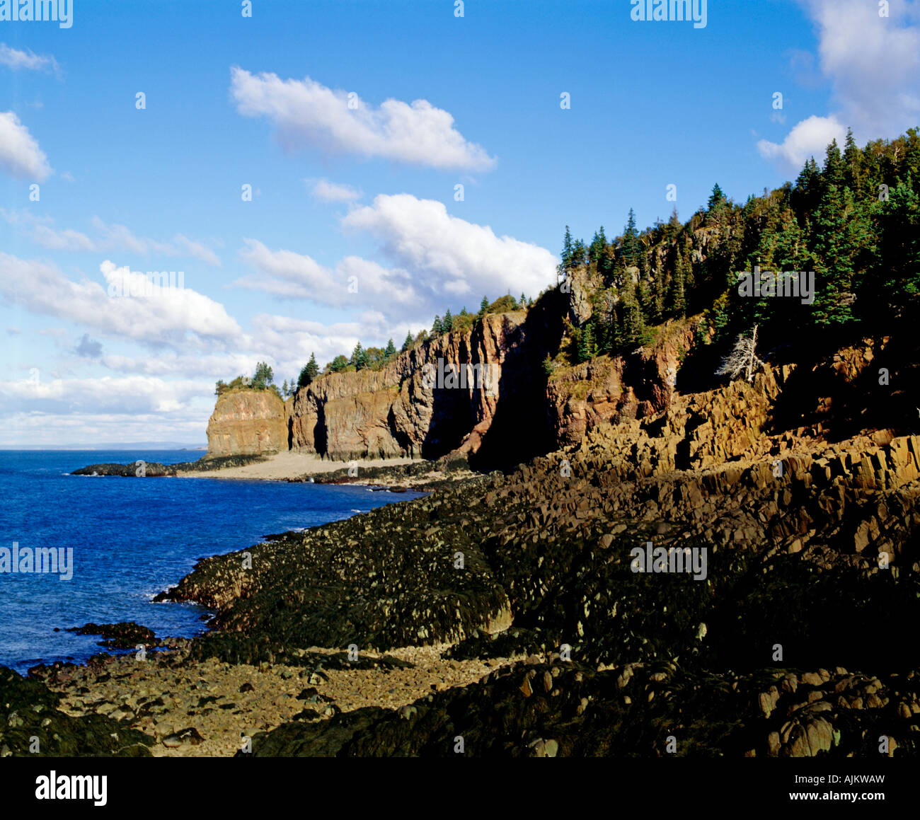 Shoreline with rocky cliffs and forest above Stock Photo - Alamy