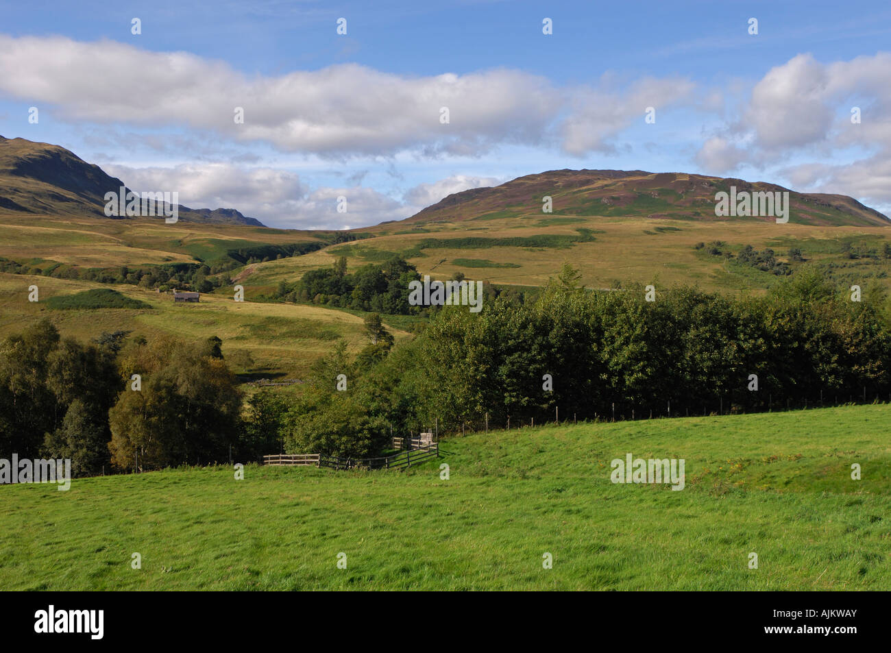A cottage below Ben Halton with rough hill pasture, wooded slopes and ...