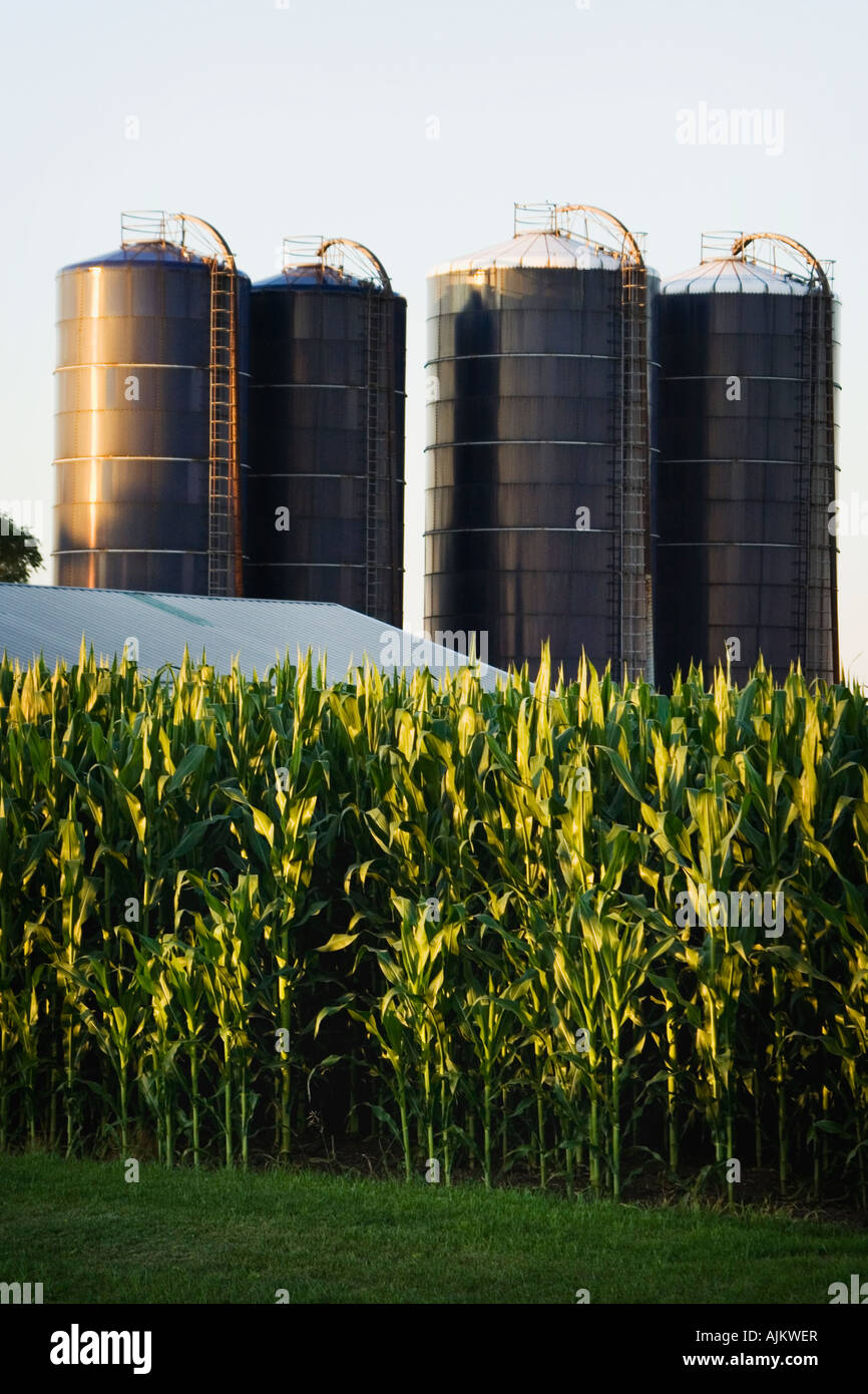 Silos on farm Stock Photo - Alamy