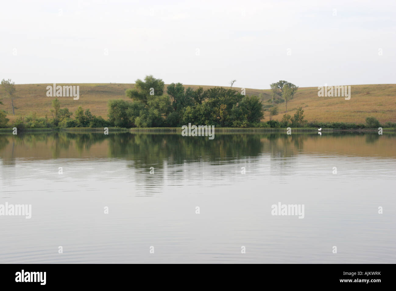 Chase county state lake in Kansas Stock Photo - Alamy