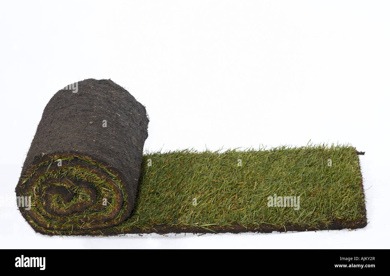 Piece of grass sod Stock Photo - Alamy