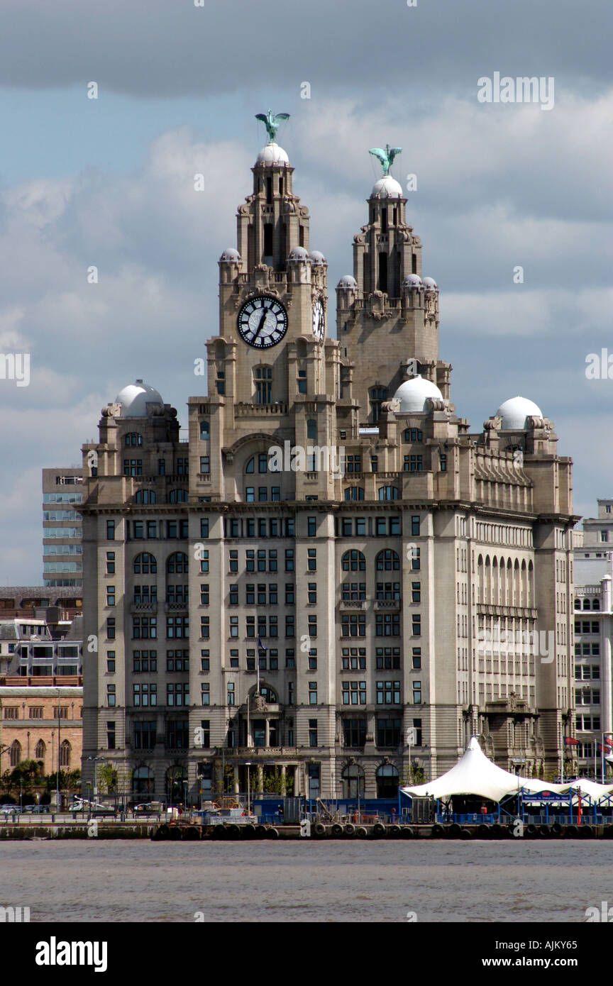 The Liver Building Liverpool England Stock Photo - Alamy