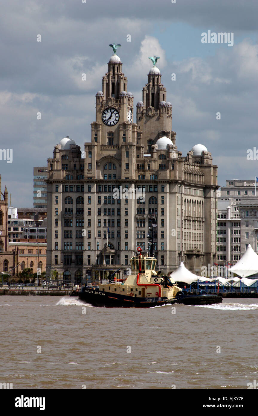 The Liver Building Liverpool England Stock Photo - Alamy