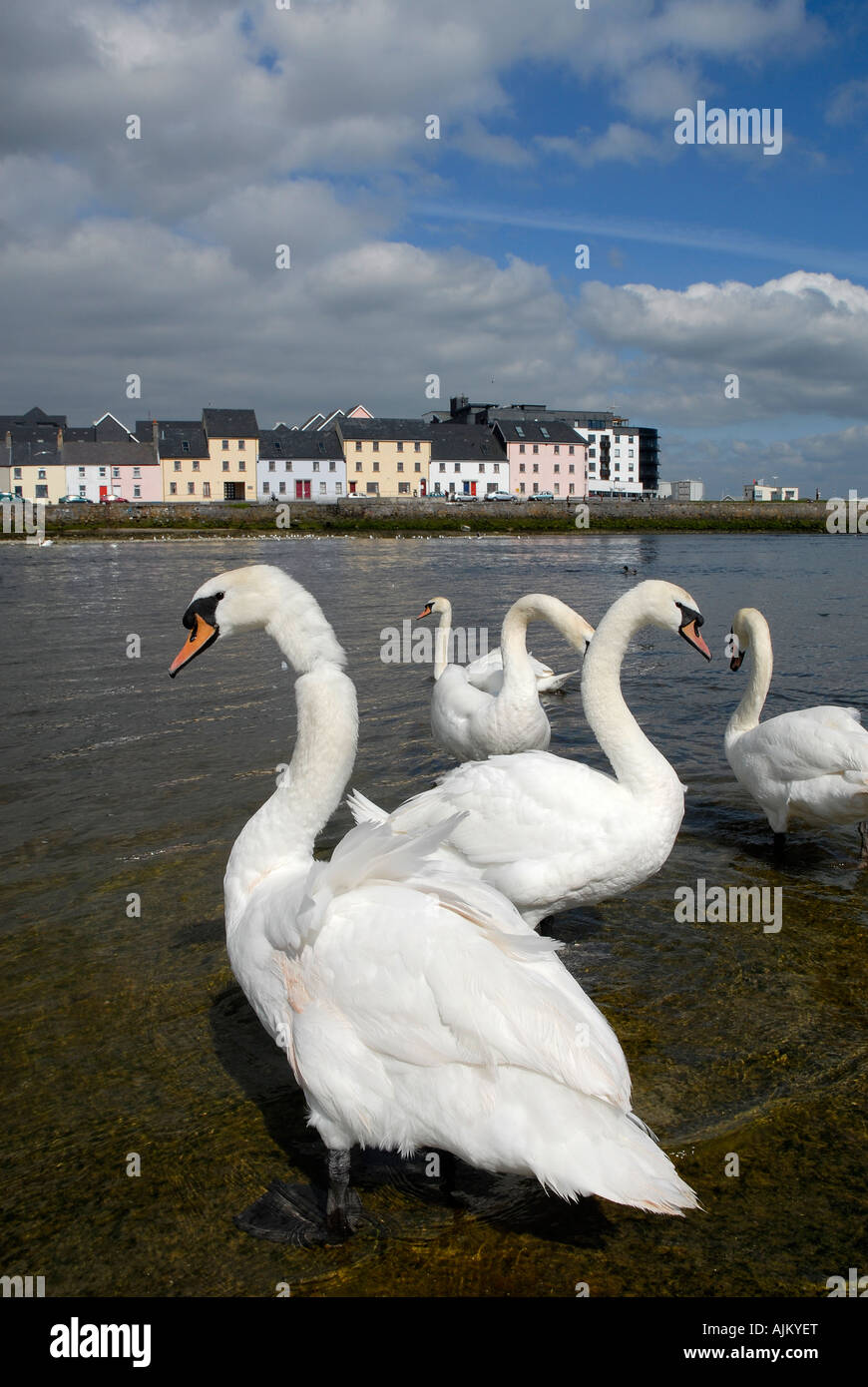 Irelannature hi-res stock photography and images - Alamy