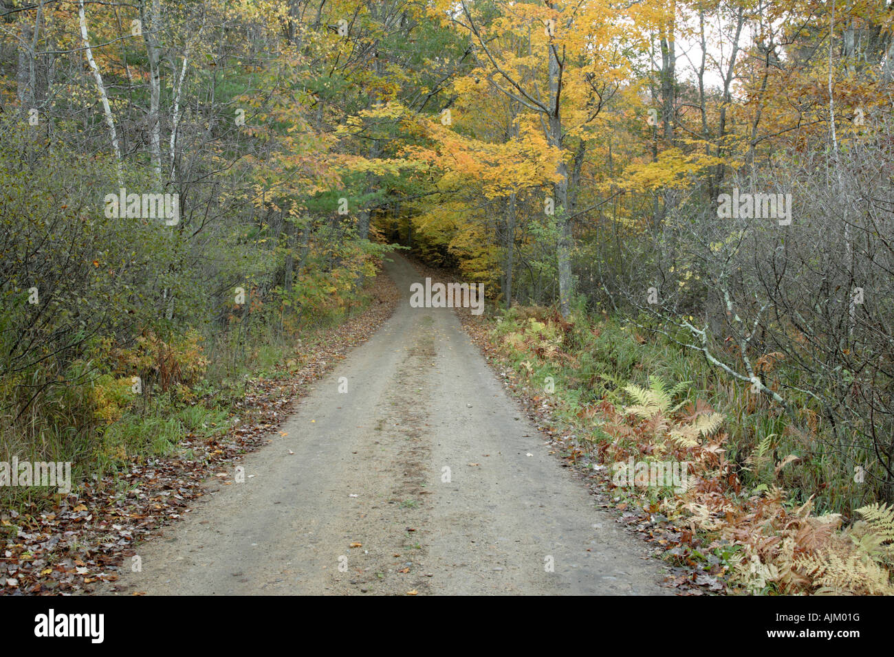 Pawtuckaway State Park in Nottingham New Hampshire USA during the ...