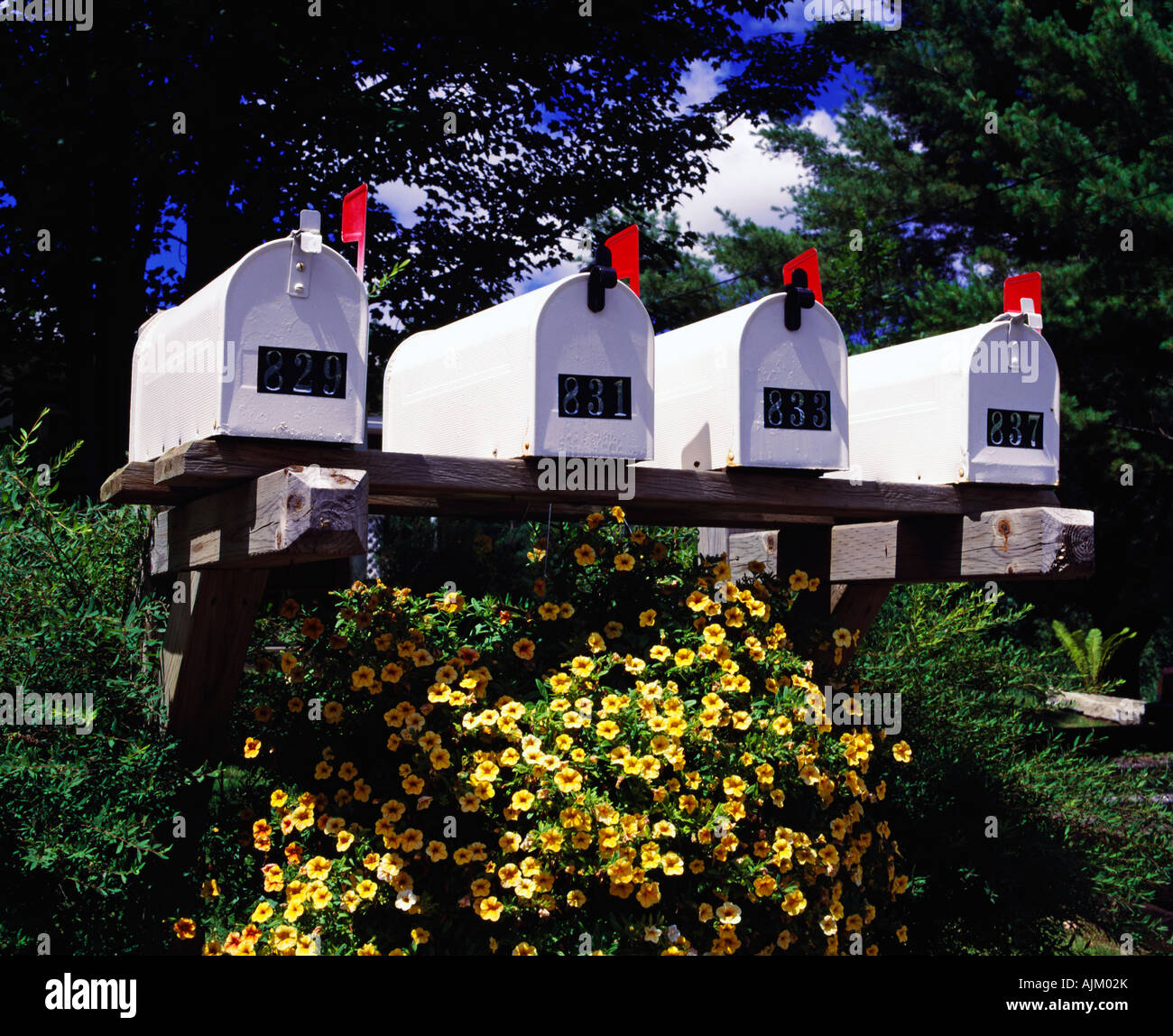 Mailboxes in a row Stock Photo - Alamy