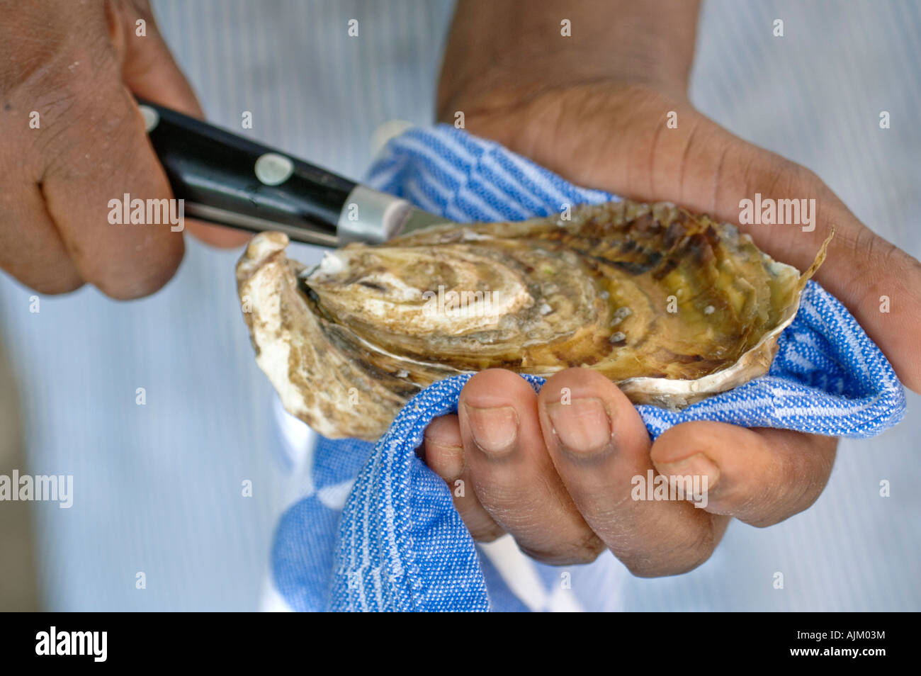 Opening an oyster Stock Photo - Alamy