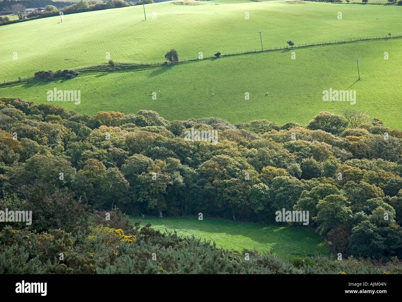 Welsh forest and countryside vista hi-res stock photography and images ...